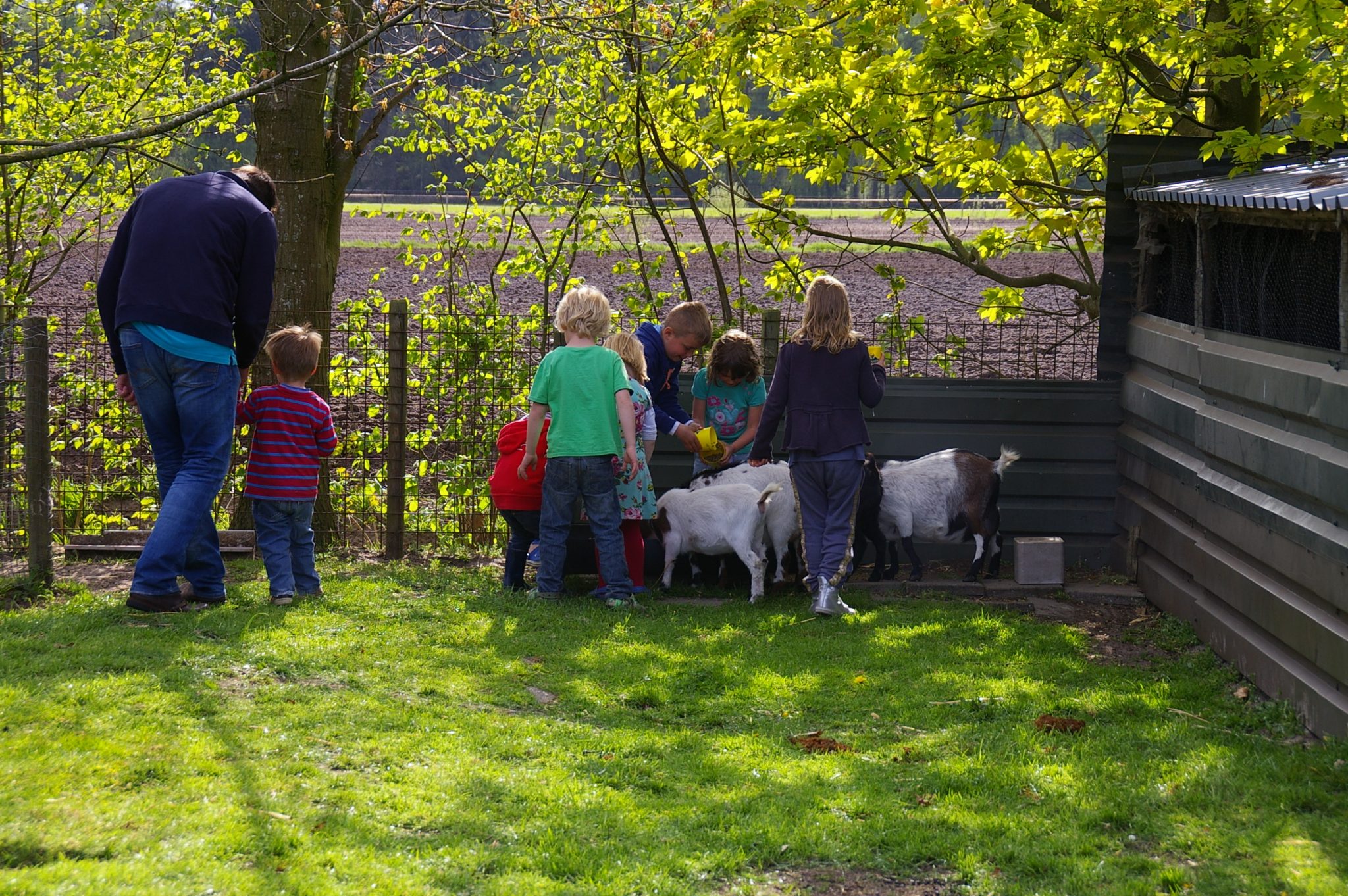 Op avontuur bij de boer! - Boerderijcamping Het Varsenerveld