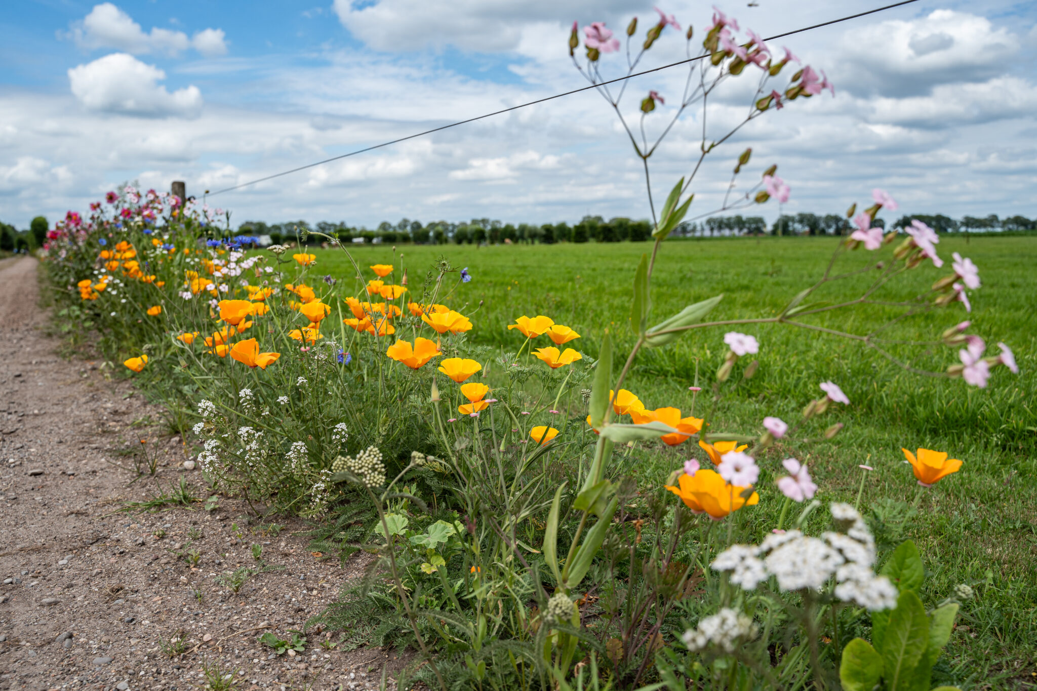 Geniet van natuur, rust & comfort op Camping Het Varsenerveld